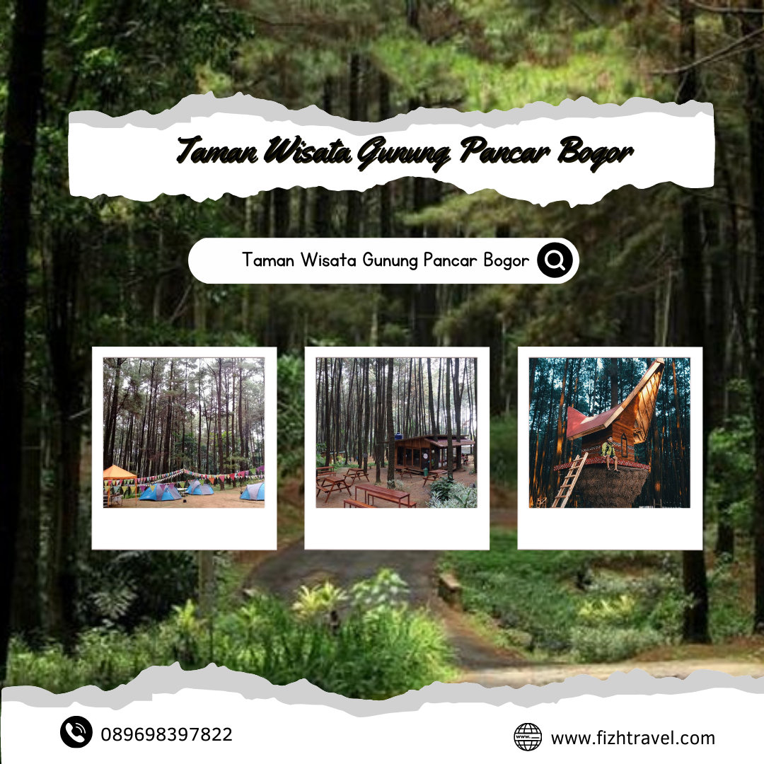 Taman Wisata Gunung Pancar, Wisata Camping Ground Best #1.